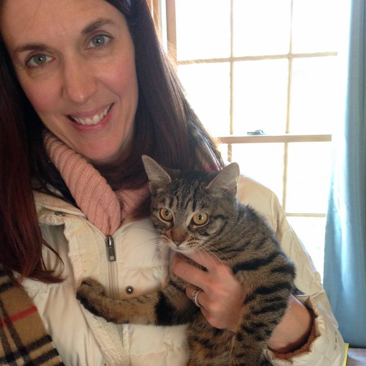 South Hingham Veterinary Services