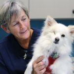 South Hingham Veterinary Services